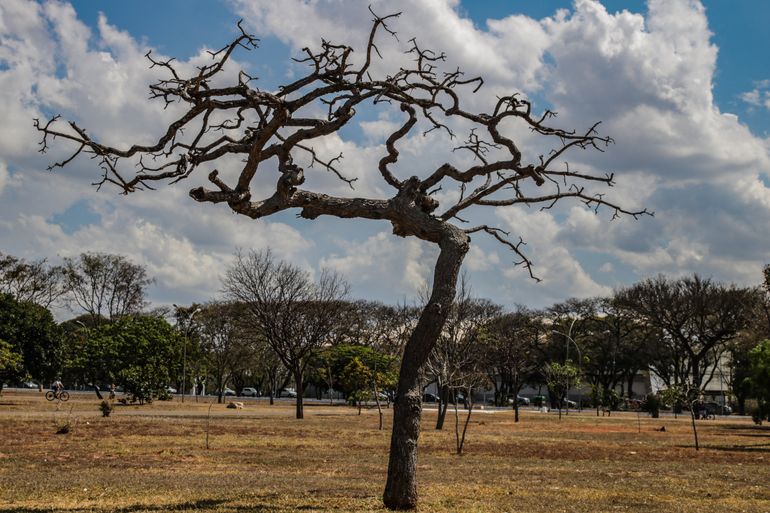 Seca em Brasília | Agência Brasil