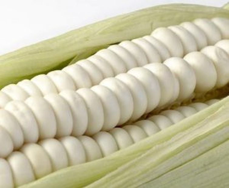 Farinha de milho branco é alternativa para a panificação sem glúten ...