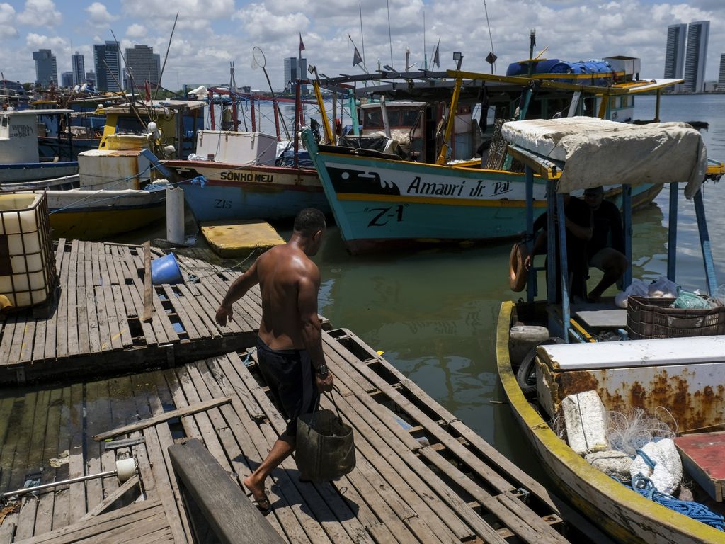 Corais podem evitar R$ 160 bilhões em danos ao litoral do Nordeste ...