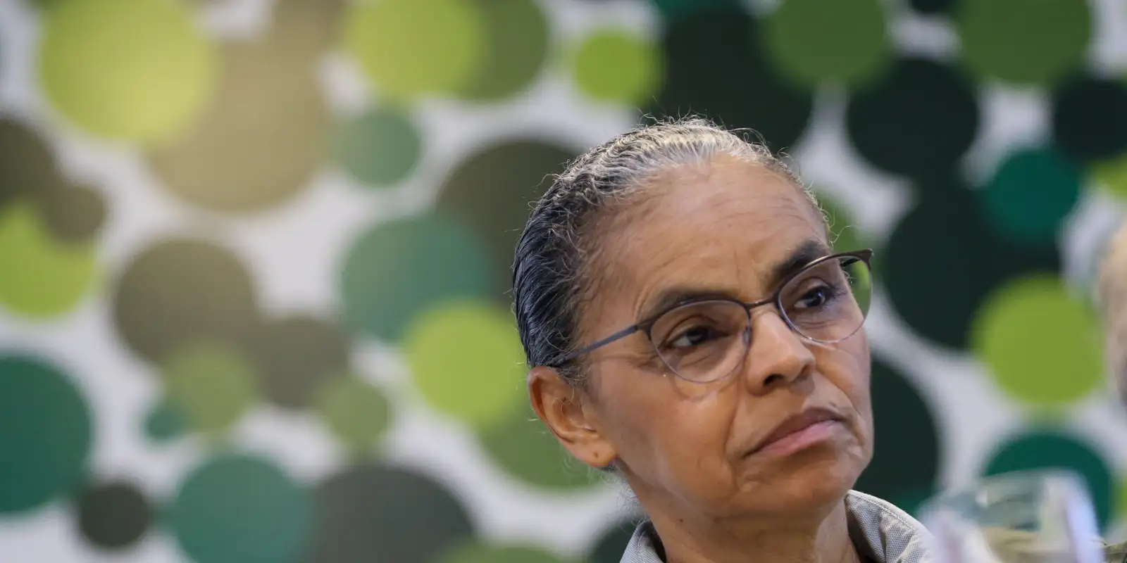 Marina Silva ICMBIO | Agência Brasil