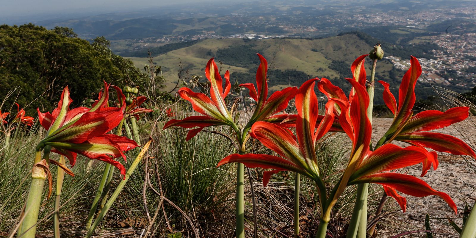 Monumento Natural Estadual da Pedra Grande | Agência Brasil