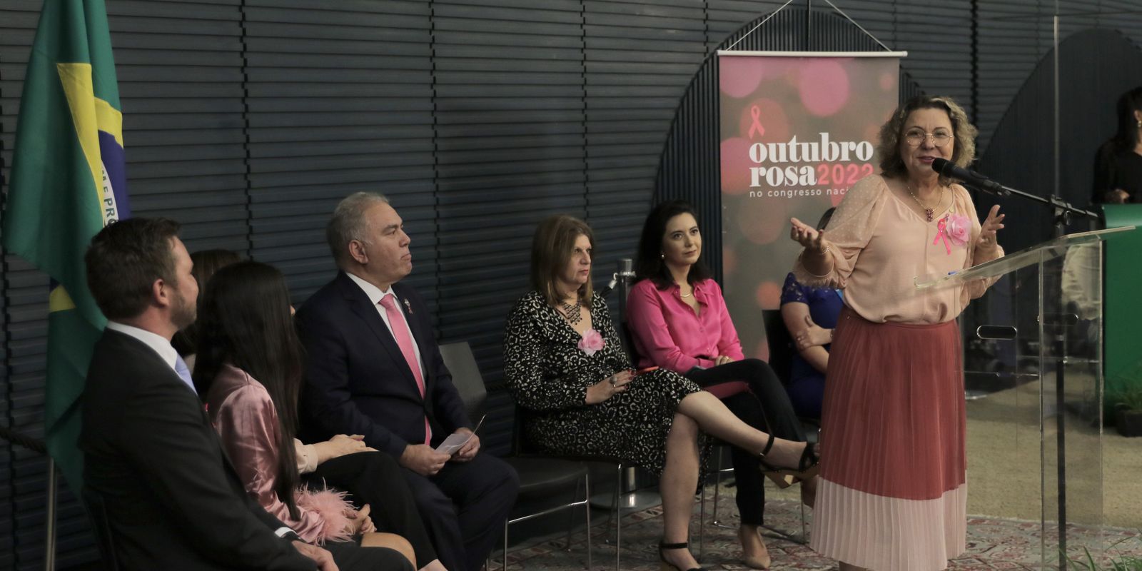 A procuradora da Mulher da Câmara dos Deputados, deputada Tereza Nelma ...