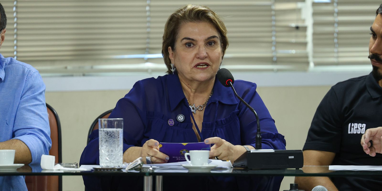 Embratur, MinC e Liesa oficializam apoio do Governo do Brasil ao ...